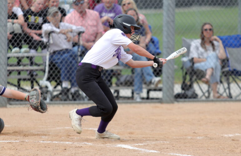 High School Sports | News, Sports, Jobs - Standard-Examiner